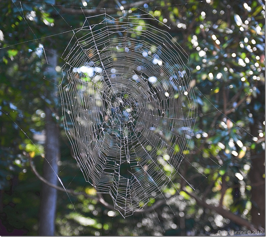 The Perfect Web – Places Unknown and Everything Else