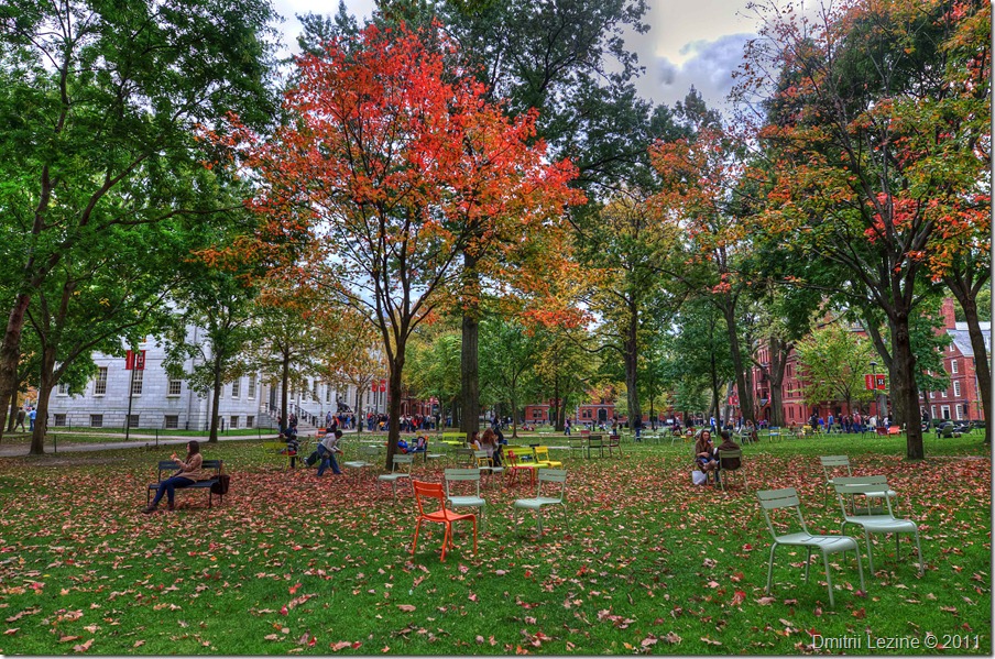 Harvard Square – Places Unknown and Everything Else