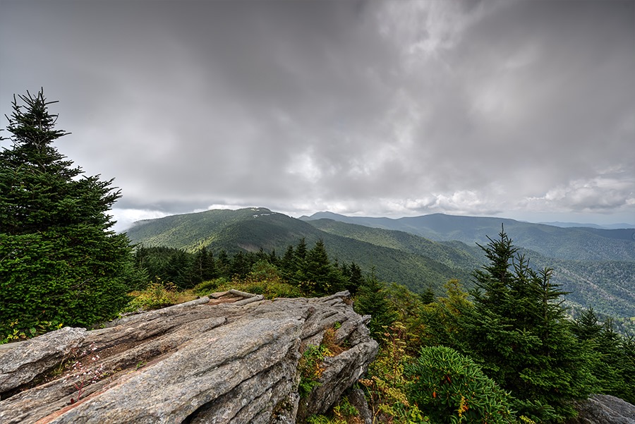 NC Wild Things – Places Unknown and Everything Else