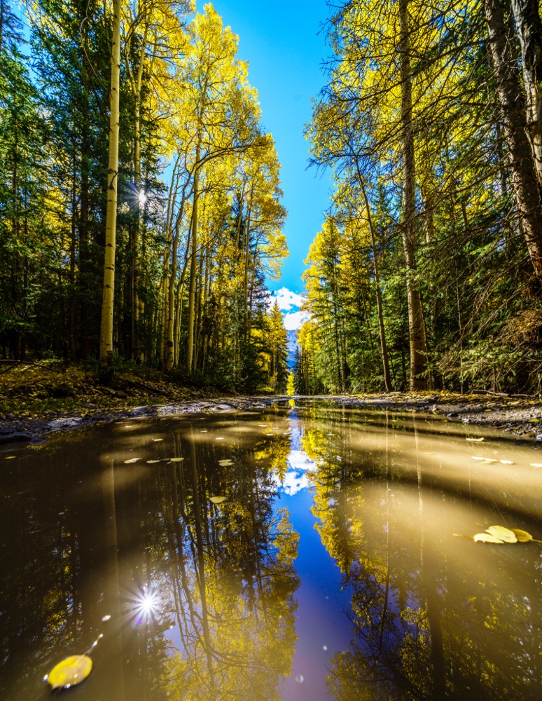 Little puddle! – Places Unknown and Everything Else