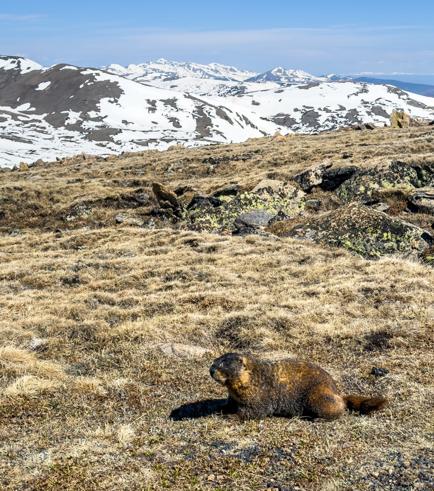 The Shadow – Places Unknown and Everything Else